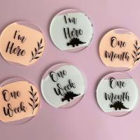 China 3D Recording  Wooden Milestone Disc Baby Birth Wooden Monthly Milestone Cards for sale