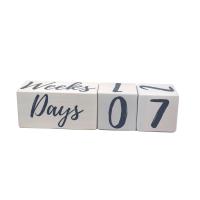China Square Reusable Wooden Milestone Blocks 12 Monthly Milestone Age Blocks for sale