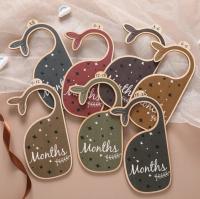 China Double Sided Newborn Baby Cloth Divider Card 24 Month Bedroom Closet Divider for sale