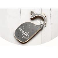 China Double Sided Newborn Baby Cloth Divider Card 24 Month Bedroom Closet Divider for sale