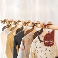 China Double Sided Newborn Baby Cloth Divider Card 24 Month Bedroom Closet Divider for sale