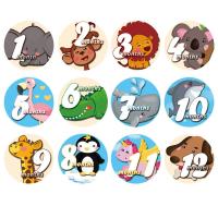 China Wooden Baby Monthly Milestone Discs Double Sided Discs Round shaped - Includes 13 Cards with Drawstring Bag for sale