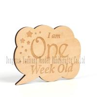 China Baby Monthly Milestone Marker Discs, Classic Wooden Discs Photo Props for Baby Announcement and Milestones for sale