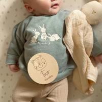 China Newborn Baby Shower Gift customized laser-cut cartoon animal monthly wooden baby milestone for sale