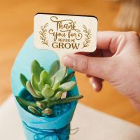 China Succulent Tags Watch Me Grow Wooden Plant Label Garden Marker Plant Sign Succulent Labels for Mother's Day Baby Shower for sale