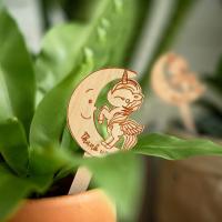 China Succulent Tags Watch Me Grow Wooden Plant Label Garden Marker Plant Sign Succulent Labels for Mother's Day Baby Shower for sale