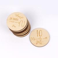 China Baby Milestone Cards Keepsake- Set of 13 Monthly Age Discs Card  Double Sided Blocks Wedding Milestone Cards for sale