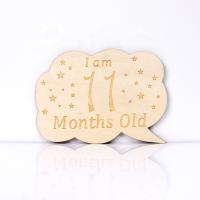 China Baby Milestone Cards Keepsake- Set of 13 Monthly Age Discs Card  Double Sided Blocks Wedding Milestone Cards for sale
