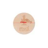 China Baby Milestone Cards Keepsake- Set of 13 Monthly Age Discs Card  Double Sided Blocks Wedding Milestone Cards for sale