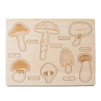 China Montessori Toy wooden  Mushroom Growth Cycle Puzzle &Wooden  Dinosaur Puzzle for sale