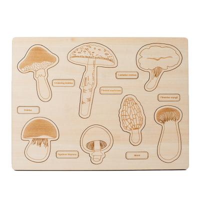 China Montessori Toy wooden  Mushroom Growth Cycle Puzzle &Wooden  Dinosaur Puzzle for sale