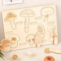 China Montessori Toy wooden  Mushroom Growth Cycle Puzzle &Wooden  Dinosaur Puzzle for sale