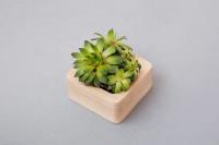 China Desktop Organizer desk accessories desk tray office organizer office accessories wood organizer jewelry for sale