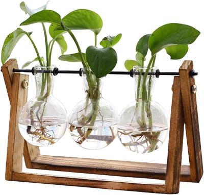 China Desktop Glass Planter Plant Terrarium with Retro Solid Wooden Stand and Metal Swivel Holder for Home Office Decorations for sale