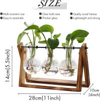 China Desktop Glass Planter Plant Terrarium with Retro Solid Wooden Stand and Metal Swivel Holder for Home Office Decorations for sale