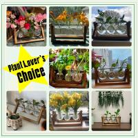 China Desktop Glass Planter Plant Terrarium with Retro Solid Wooden Stand and Metal Swivel Holder for Home Office Decorations for sale