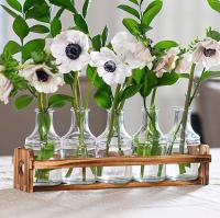 China Glass Flower Vase with Wooden Holder Vases for Flowers for sale