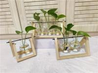 China Wholesale Plant Terrarium with Wooden Stand Bulb Glass Vase Retro Tabletop for Hydroponics Home Garden Office Decoration for sale