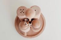 China Wooden Salt and Pepper Shakers Set for Play Kitchen for sale