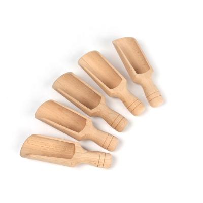 China Wooden Small Little Mini Scoop Salt Sugar Coffee Spoon Tool Kitchen Tool for sale
