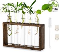 China Customized Wood Stand Rack Tabletop Terrarium for Hydroponic Plants Cuttings Office Home Decoration, Gift for Plant Lover for sale
