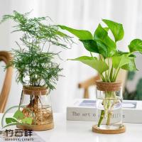 China Customized Wood Holder Desktop Plant Glass Vase Plant Propagation Terrarium for sale