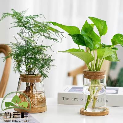 China Customized Wood Holder Desktop Plant Glass Vase Plant Propagation Terrarium for sale
