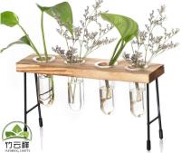 China Customized Wood Holder Desktop Plant Glass Vase Plant Propagation Terrarium for sale