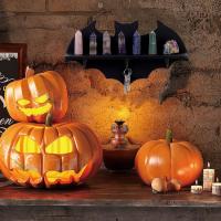 China Customized Gothic Wooden Bat Shelf Crystal Coffin Shelf-Spooky Floating Shelves for sale