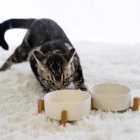 China Wood Stand Non-Slip Matte Glaze Weighted Food Water Set for Cats &Small Dogs for sale