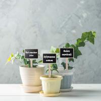 China Mini Wooden T-type Plant Labels Garden Plant Markers Chalkboard Stakes Gardening Plant Labels Signs, Wooden Garden Markers for sale