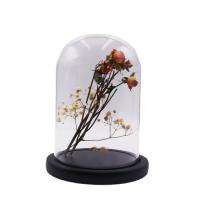 China Glass Dome with Wooden Base Glass for candle   Mini Cake Stand Glass Display Dome for sale