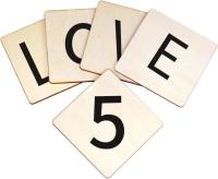 China Unfinished Wood Slices Blank Wood Chips for Handicrafts Home Decoration Wooden Coasters and DIY Crafts for sale