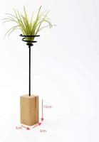 China Real Wood Base Air Plant Holder. Small Terrarium for Living Room &AND Hallway Decor Office Desktop Decoration for sale