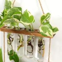 China hot-selling Wall Hanging Planter  2 Tiered Plant Propagation Station  With Wooden Stand & Glass Planter home decor for sale
