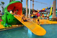 China Fiberglass Frog Water Park Slide for Children - 2.5m Height with 8 m³/h Water Flow Capacity for sale