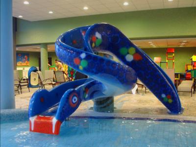 China Cobra Snake Water Slide for Kids - 5.6m Length, 2.1m Height Fiberglass Pool Slide with 15 m³/Hour Water Flow for sale