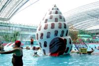 China Fiberglass Conch Water Slide 2.1m Diameter 3.4m Height for Aquatic Parks and Swimming Pools for sale