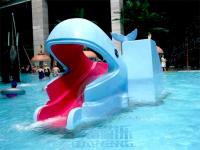China Fiberglass Kids Pool Slide 3.2m Whale & 4.3m Frog Models with 100kg Capacity for Water Parks for sale