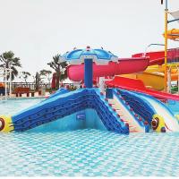China Fiberglass Octopus Slide Water Play Marine Animal Series Use For Children'S Swimming Pool Water Game  2.8m Height Colorful Design for sale