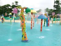 China Residential Commercial Colorful Kids Water Play Features For Swimming  Pools Backyards Water Parks for sale