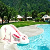 China Crocodile Water Plays Commercial Splash Pad Water Park Equipment For Kids Slide With Ce Certificate for sale