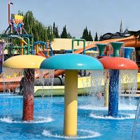 China 1.8/2.0m Height Mushroom Fiberglass Water Play Features Water Playground Toys Swimming Pools For Kids for sale