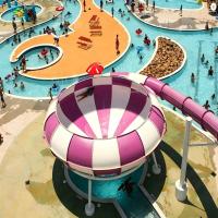 China Space Bowl Amusement Park Water Slide For Swimming Pool Custom FRP 610mm Thick Manufacturer for sale