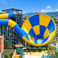 China High Capacity Fiberglass Water Slide Tornado Custom Colorful for Aqua Water Park Equipment for sale