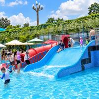 China Customized  6-10mm Thickness Family Water Slide Fiberglass For Resorts Swimming Pool for sale