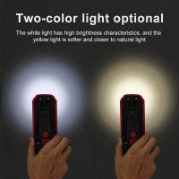 China Portable 5W COB Rotation Working Lamp 600lm With Magnetic For Car Paint Inspection for sale