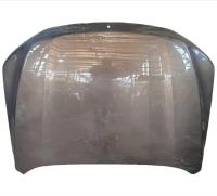 China OE Parts Hood Fender for Great Wall POER/Great Wall Cannon for sale