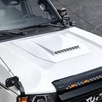 China ABS Engine Hood Cover Bonnet Protector for Toyota Land Cruiser Prado LC250 2024+ for sale