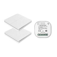 China SIXWGH 16A WIFI Switch Tuya App Remote Control Smart Timer Switch for sale
